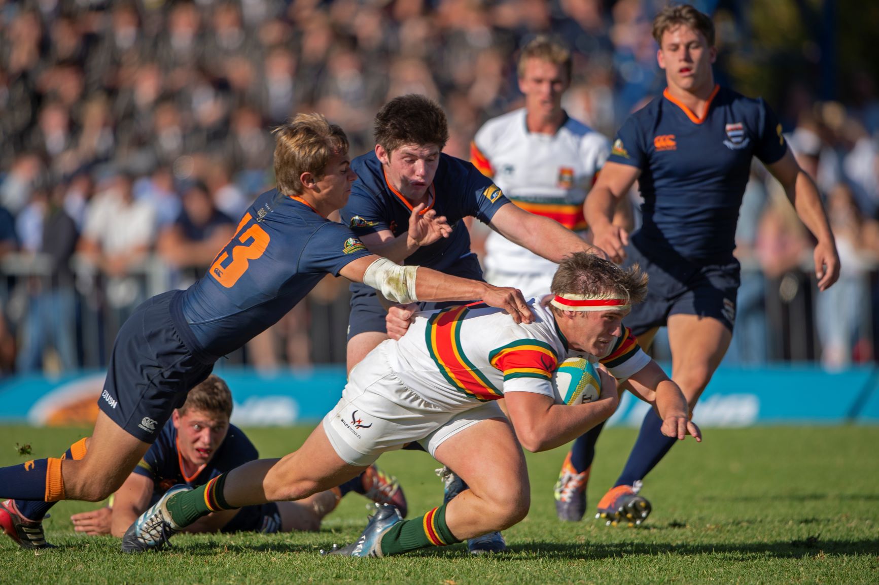 Rugby – AHS